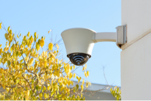 Revolutionizing Connectivity: Transparent Antennas Enter Production